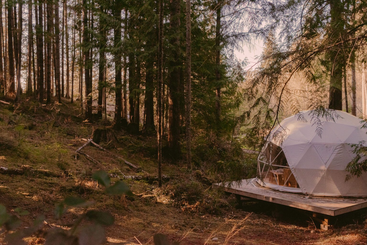 Stay Wilder Eco-Glamping Resort | Sechelt, Sunshine Coast BC